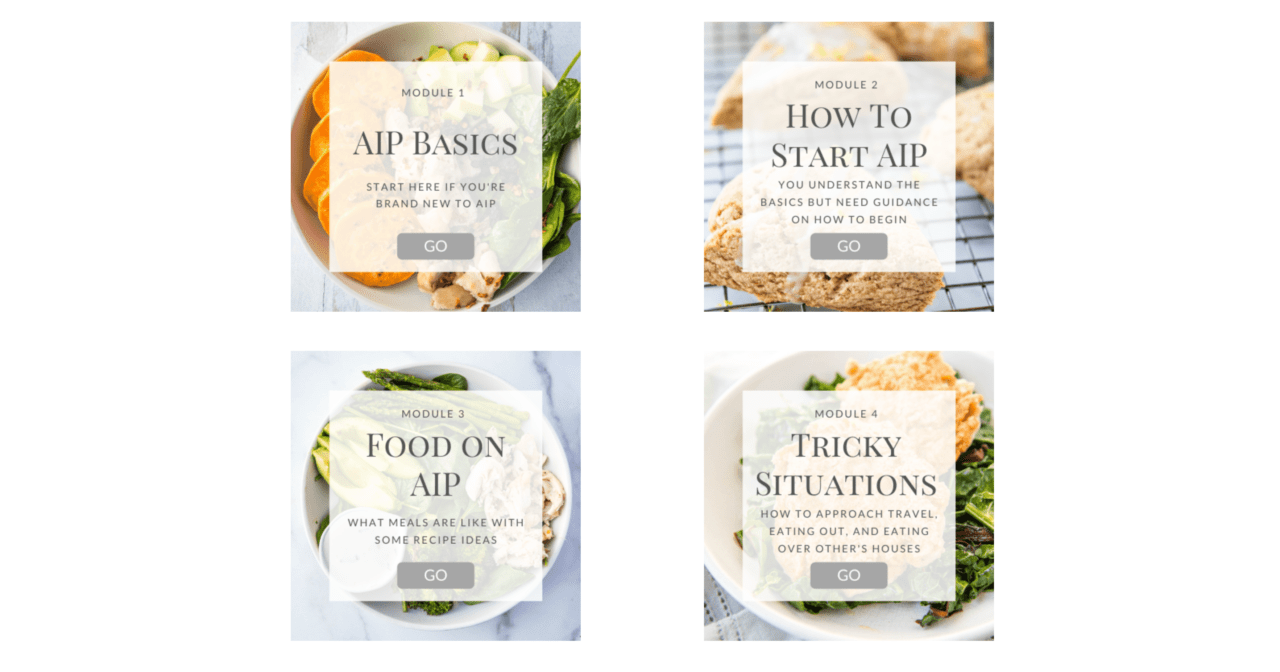 AIP Basics Sales - The Autoimmune Collective