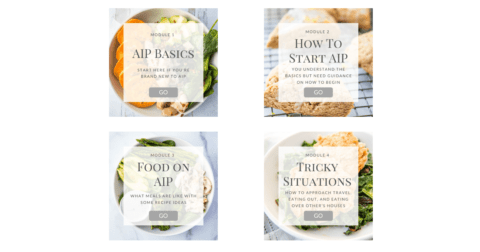 AIP Basics Sales - The Autoimmune Collective